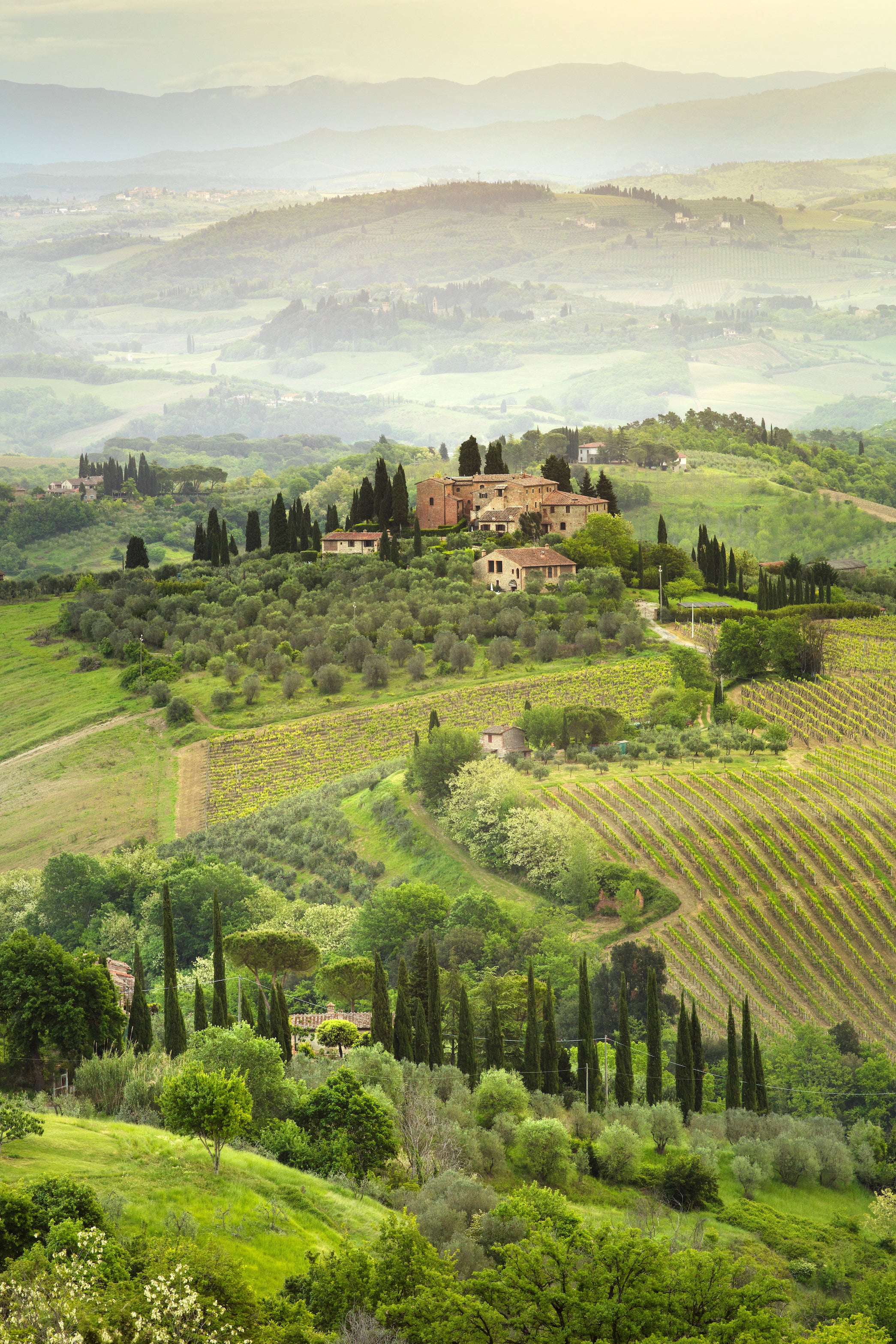 Culinary Inspiration from Italy – Nuz Knives