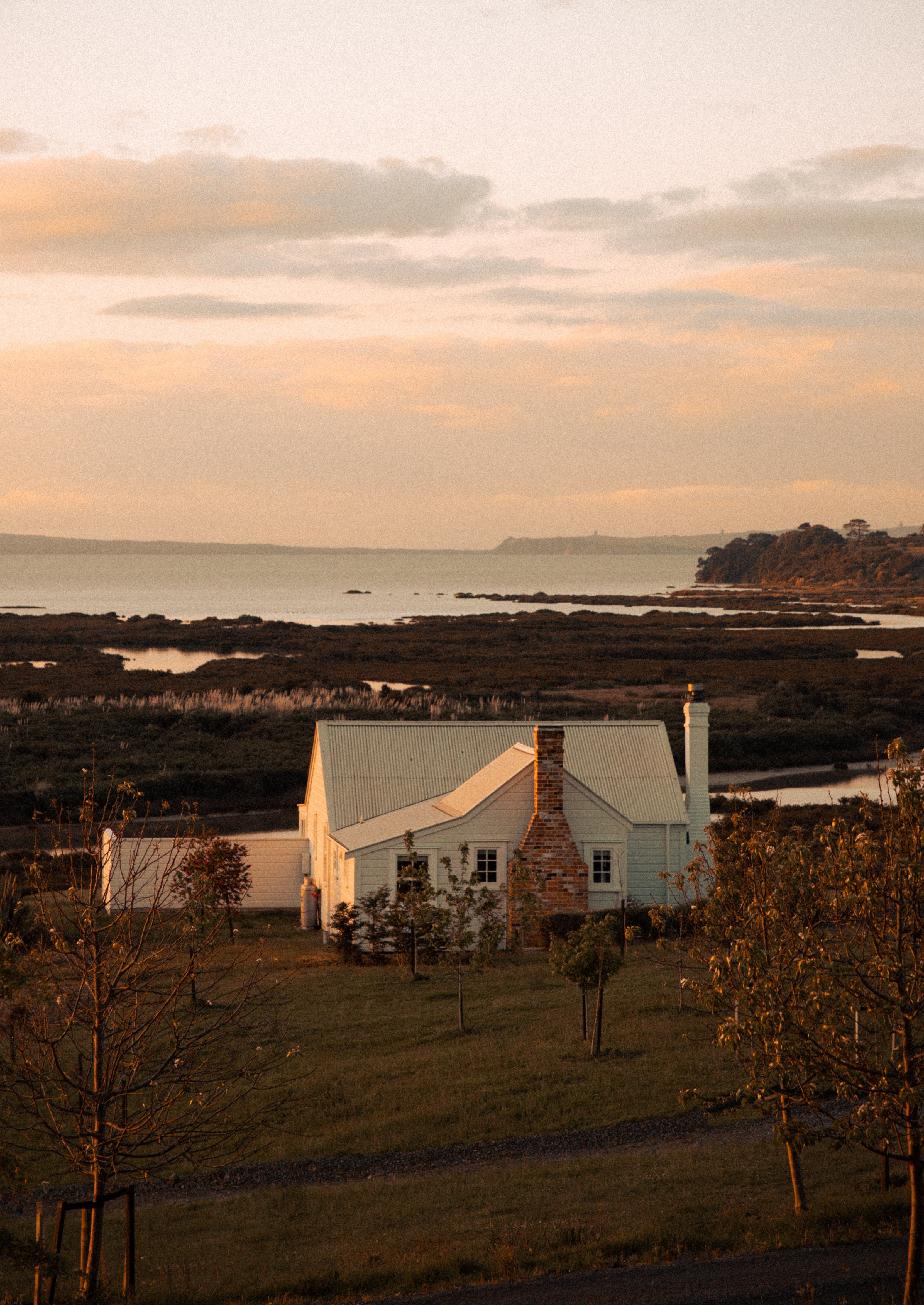 The First Home – Nuz Knives